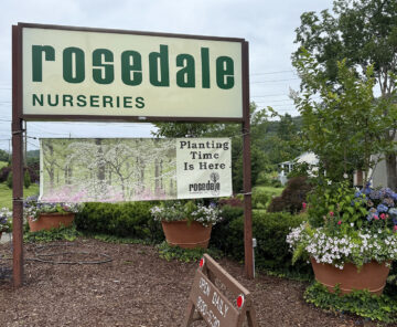 Assemblymember Shimsky Recognizes Rosedale Nurseries on Inclusion in ...