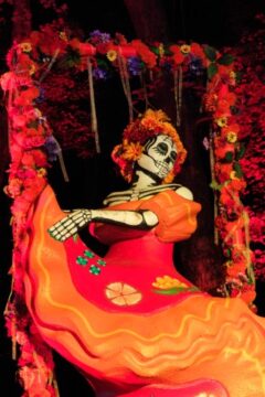 Mystic Moon: A Spooktacular Experience at Harvest Moon Farm & Orchard ...