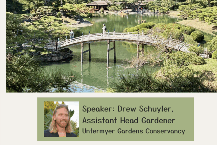 Reflections on Japanese Gardens - River Journal Online - News for ...