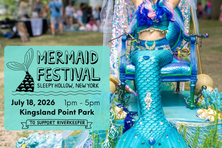 Mermaid Festival Returns to Sleepy Hollow Waterfront in July - River ...